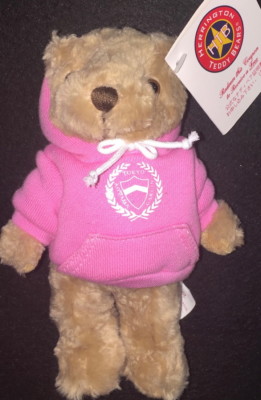 Tokyo Aoyama Gakuin University 2002 TEDDY BEAR 6.5" Plush Wearing PINK ...