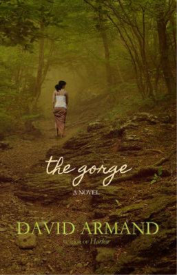 David Armand The Gorge (Poche) | eBay