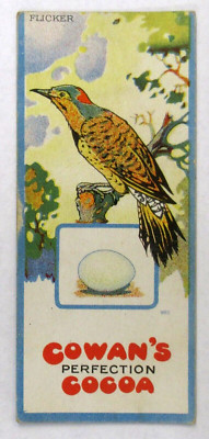 1920 V9 Cowan's Cocoa FLICKER "Canadian Birds" trading card | eBay