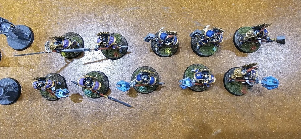 Warhammer Age of Sigmar AOS Stormcast Eternals Paladins Protectors Pro ...