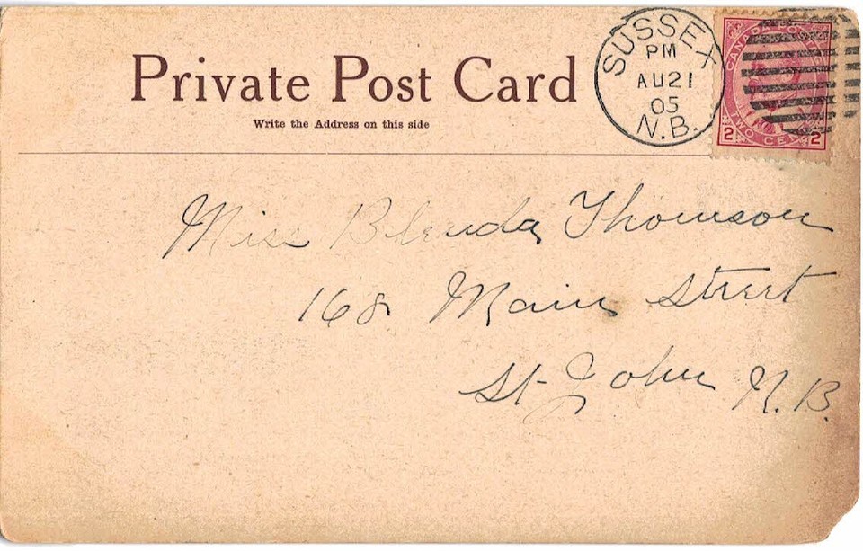 Private postcard, The Whole Dam Family at the Seashore, 1905, undivided ...