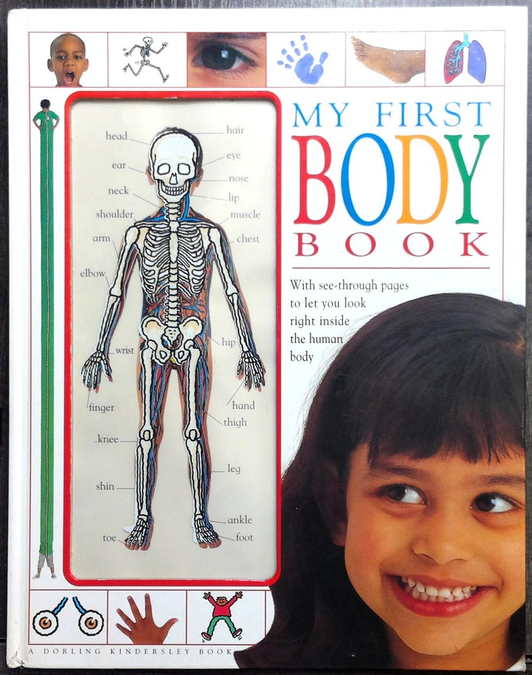 My First Body Book (Dk My First Books) 9781564588937| eBay