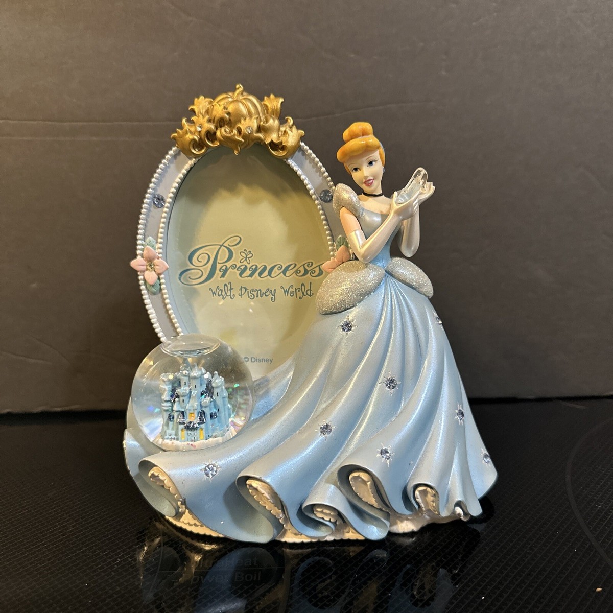 Cinderella Disney World Princess