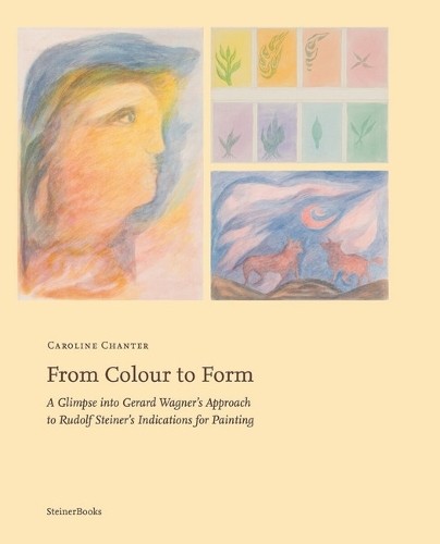 Caroline Chanter From Colour to Form (Paperback) 9781621483717 | eBay ...