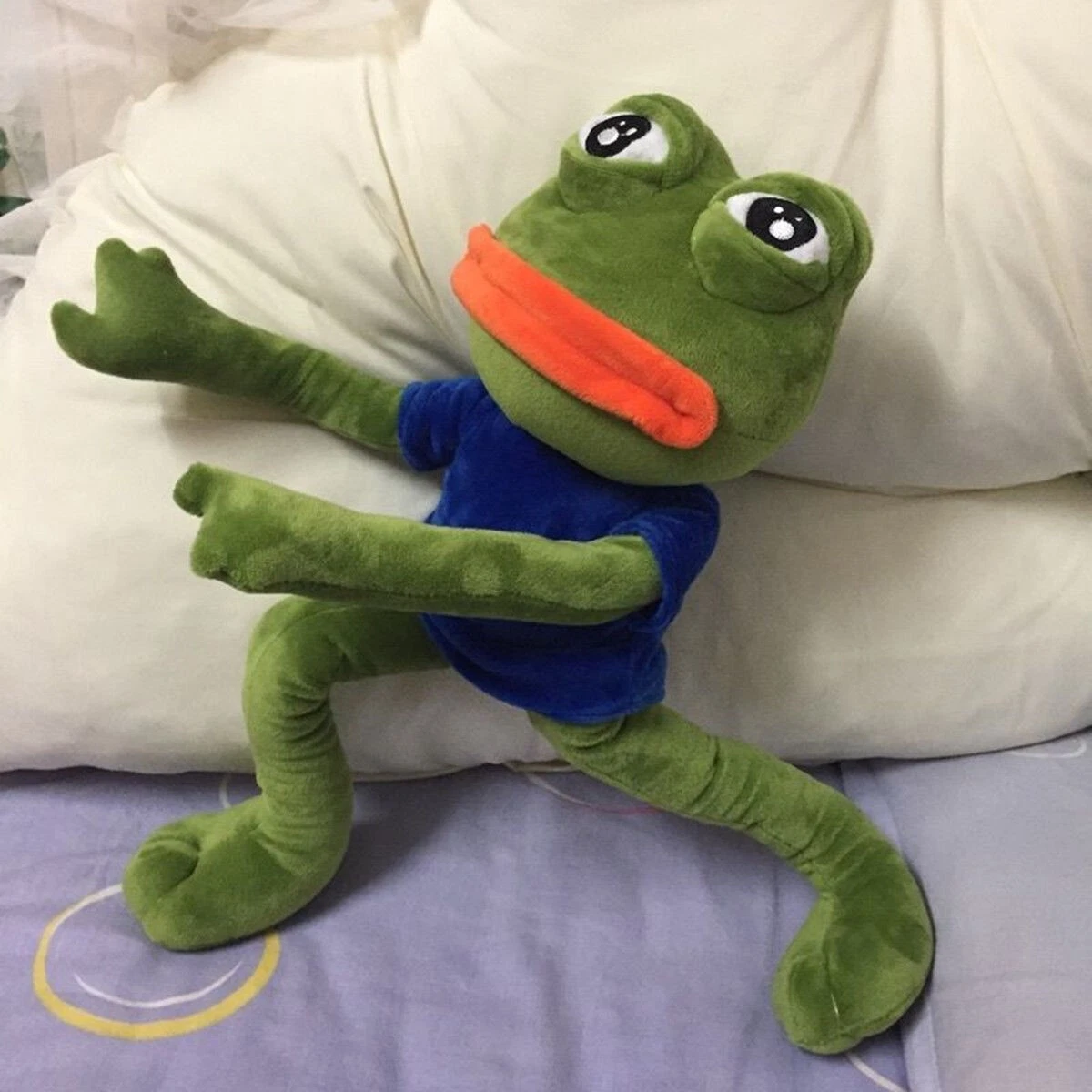 Sad Frog Meme