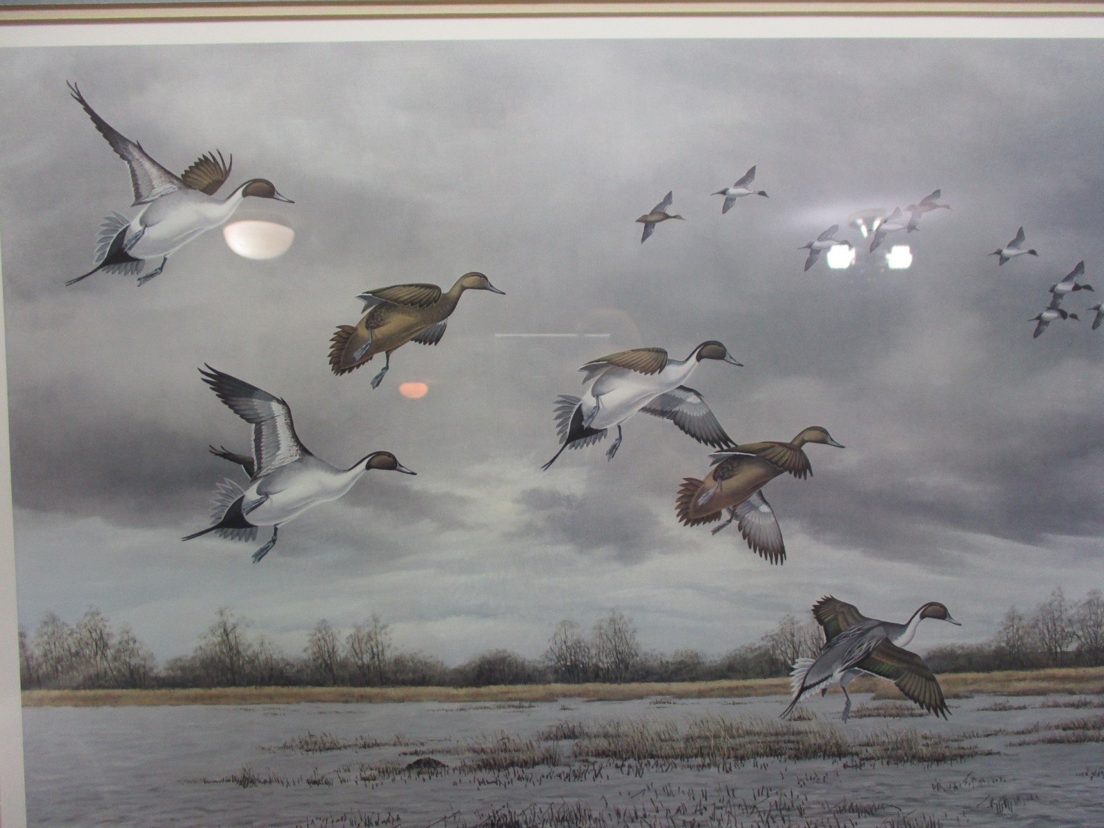 Vintage 1985 HAWKEYE PINTAILS DUCKS Framed Print Signed by Buzz Balzer ...