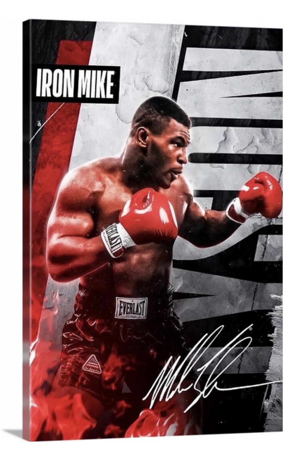 Mike Tyson Knockout Punch