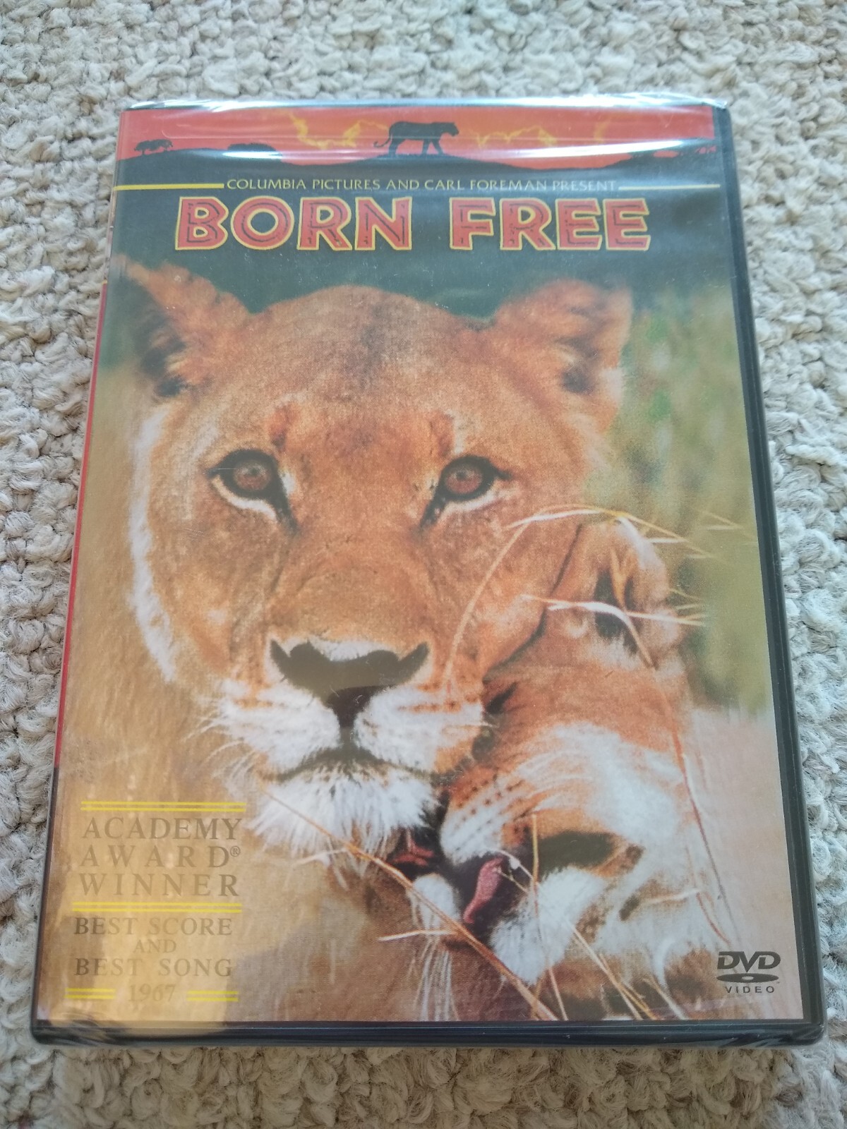 Born Free (DVD, 2003) for sale online | eBay