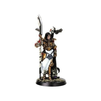 Daemon Huntress Ivixia | Warhammer 40k Inquisitor Game | Rare OOP Metal ...