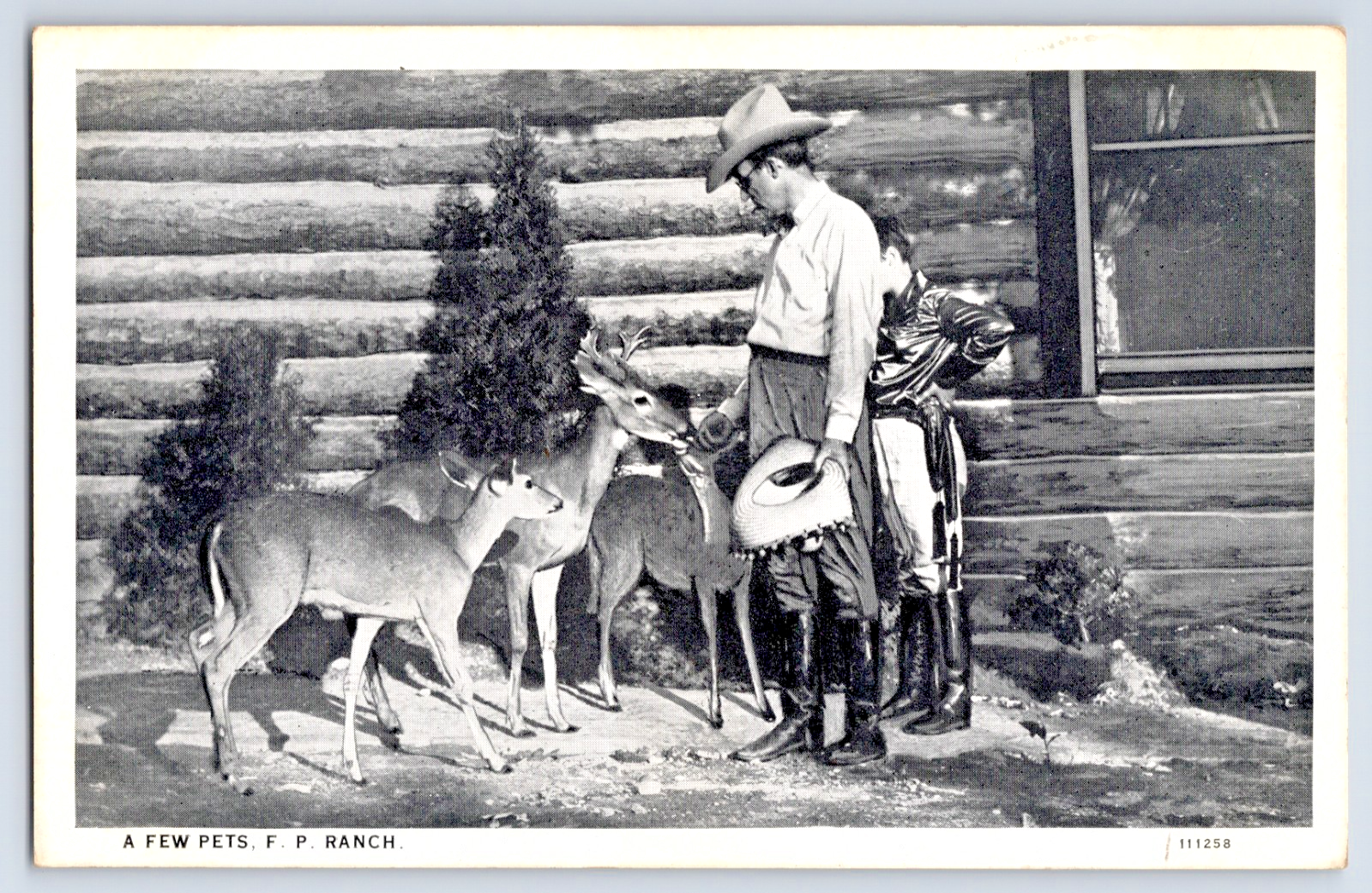Oklahoma Frank Phillips Woolaroc Ranch Man & Boy With Deer Vintage ...