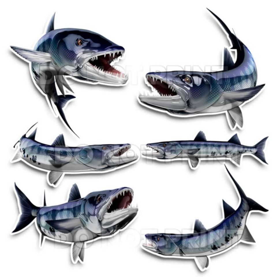 Barracuda Decals Fish Stickers Vinyl Tackle Box Stickers - Set of 2 ...
