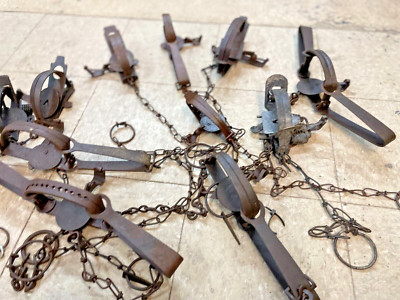 12 traps, variety of sizes and models, good user traps, 12VR62628 | eBay