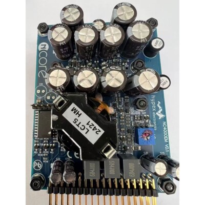 High-end Audio Power Amplifier Module 580W Amp for HYPEX New NC400 ...