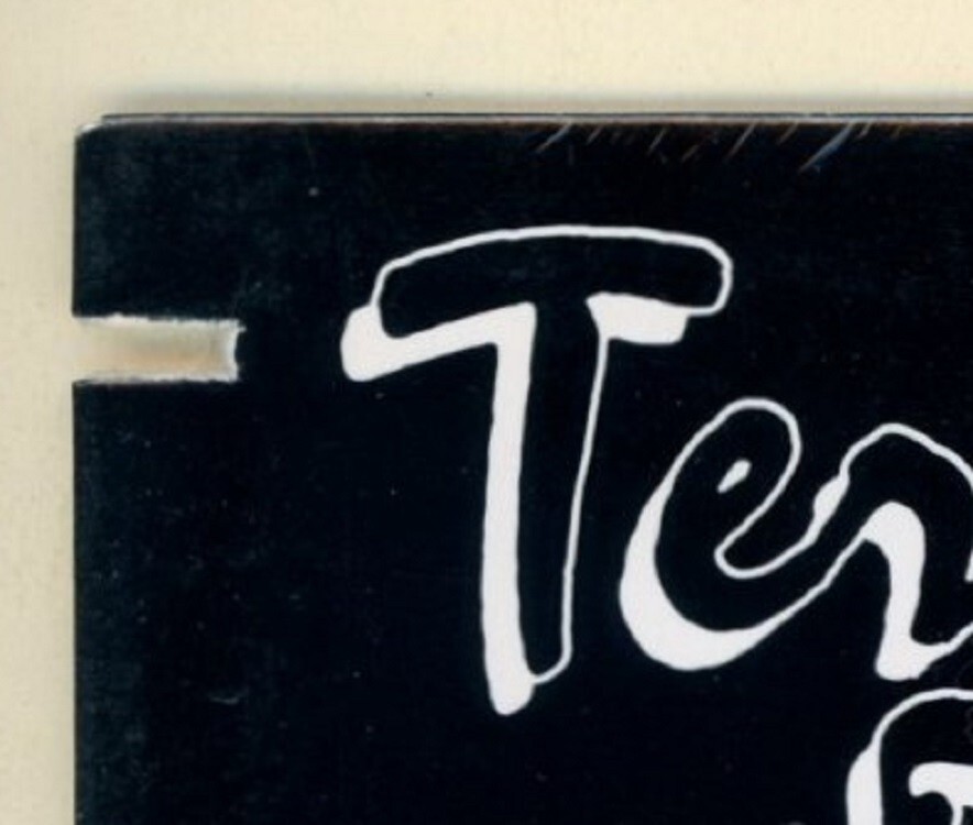 Terri Rice - Terri Rice (1986) - New Promo LP Record! Atco/21 Records ...