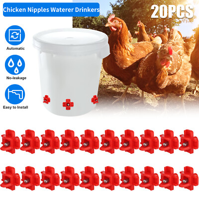 20Pcs Poultry Water Nipples Drinker Chicken Hen Quail Automatic ...