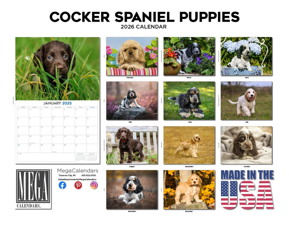 Cocker Spaniel Pups Dog Breed Calendar 2026 12x18 Made in USA | eBay