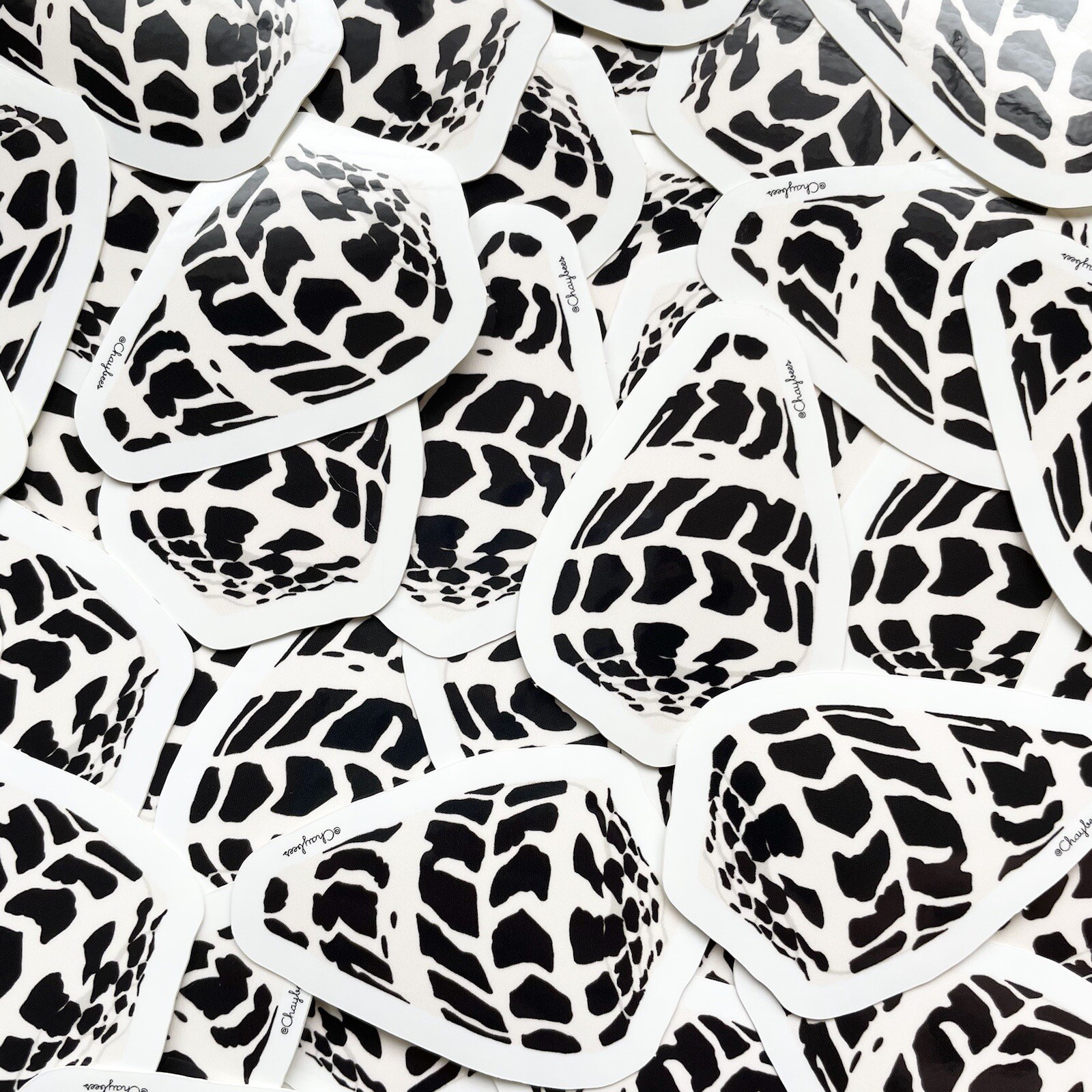 Chaybees Hawaiian Hebrew Cone Shell Glossy Vinyl Sticker ( 2.5 x 1.75 ...