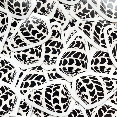 Chaybees Hawaiian Hebrew Cone Shell Glossy Vinyl Sticker ( 2.5 x 1.75 ...