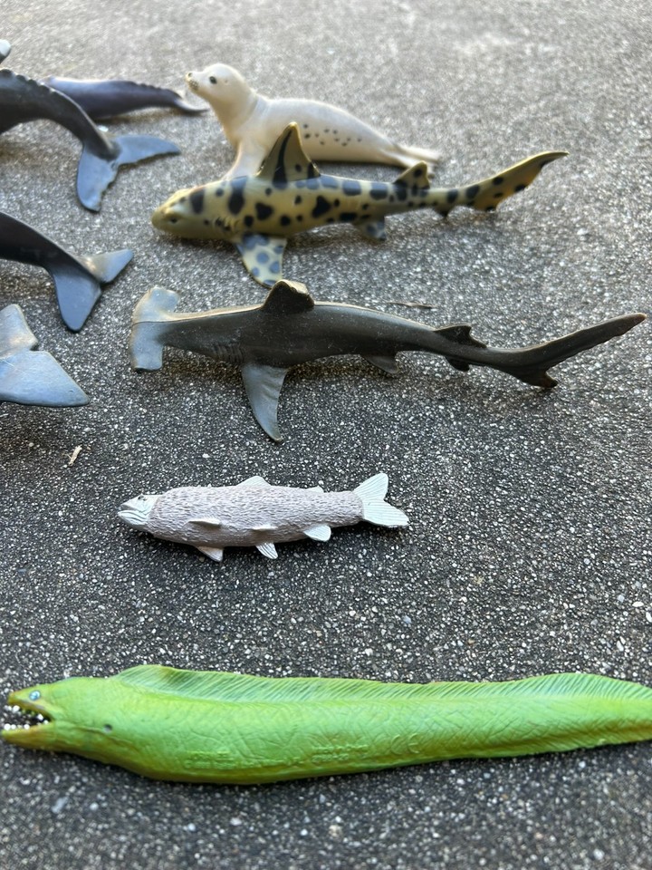 Schleich Old Model Whales, dolphins, eel, fish, whales Lot of 10 | 1996 ...