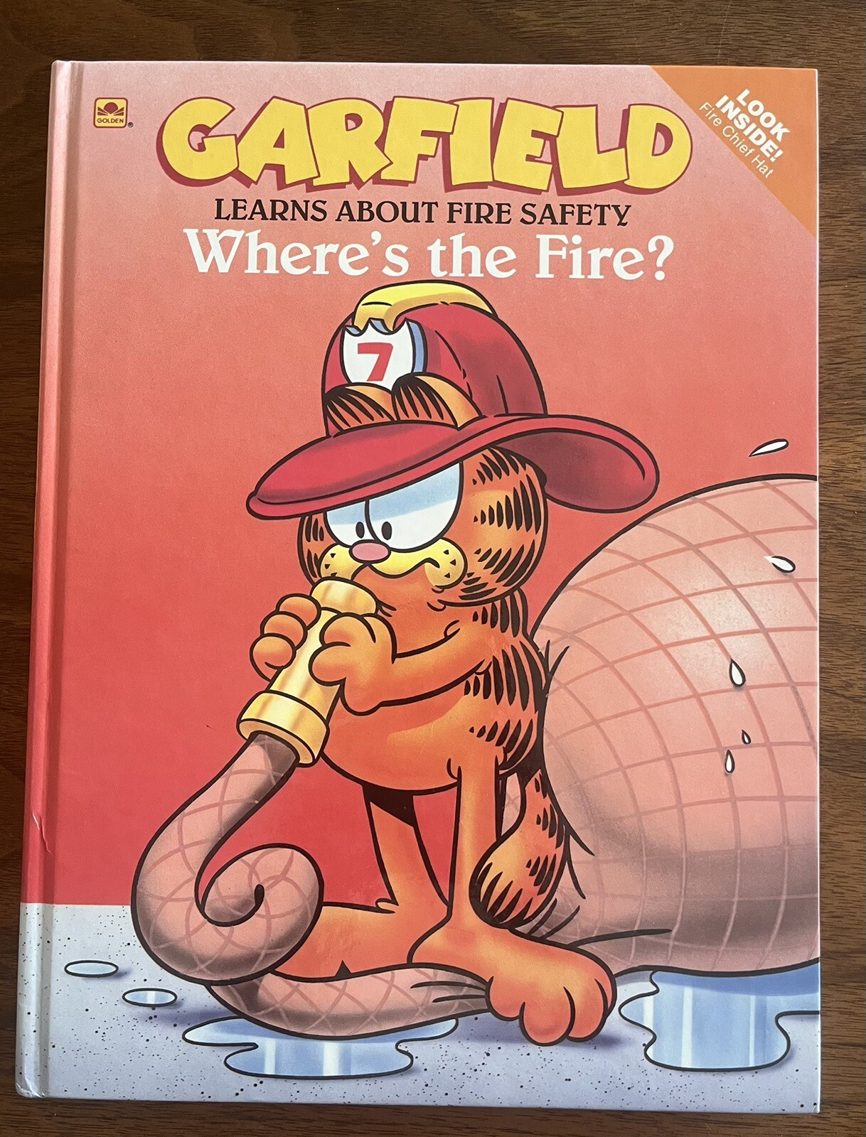 Garfield Learns about Fire Safety : Where's the Fire? by Mark Acey ...