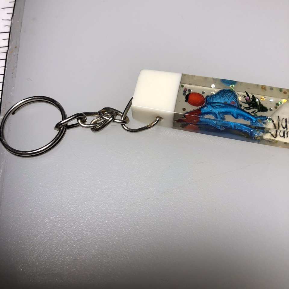 Vintage Puerto Vallarta Mexico Fishing Lucite Ocean Fish Key Ring Chain ...