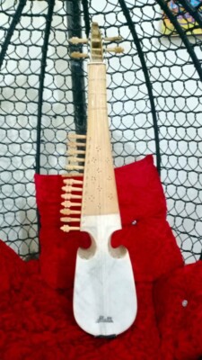 QN.350-Professional Afghani Rubab/Musical Instrument Rubab with ...