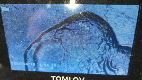 2005 P Kansas DD/ IN GOD WE RUST/ State Quarter Error coin | eBay