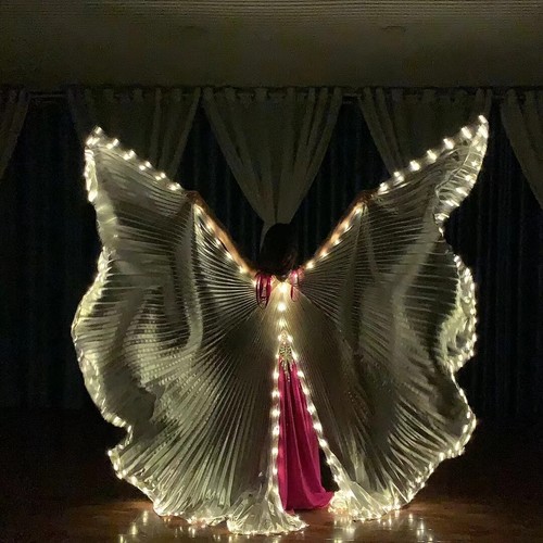 Belly Dance LED Wing Butterfly Performance Belly Dance LED Clothing ...