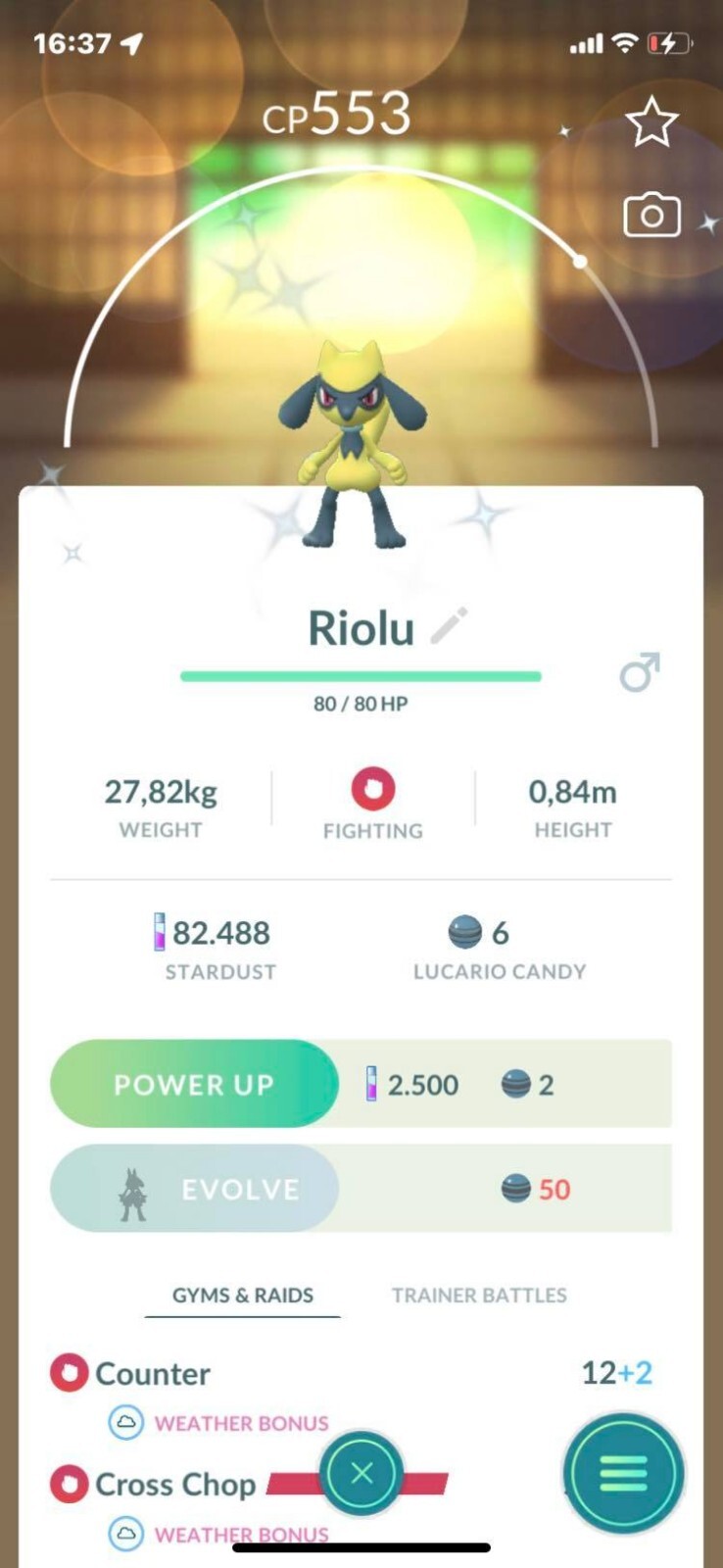 Shiny Riolu - Read Description | eBay