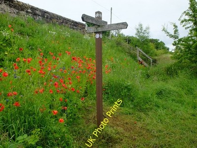 Photo 6x4 The West Highland Way at Gartness Gartness/NS5086 A fine ...