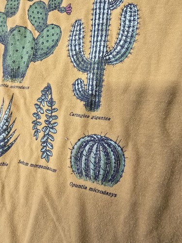 Womens Cactus Succulents Graphic Garden Short Sleeve Tee XS mustard Doe | eBay