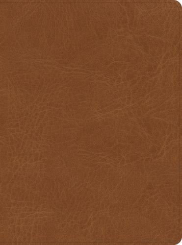 CSB+He+Reads+Truth+Bible%2C+Saddle+LeatherTouch%2C+Indexed+by+C.+S.+B ...