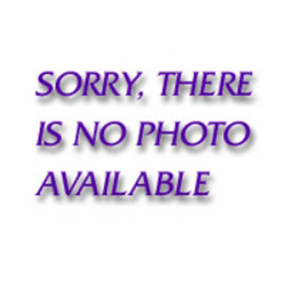 E-Z Mix 70032 1 Quart Disposable Mixing Cups 100/Box | eBay