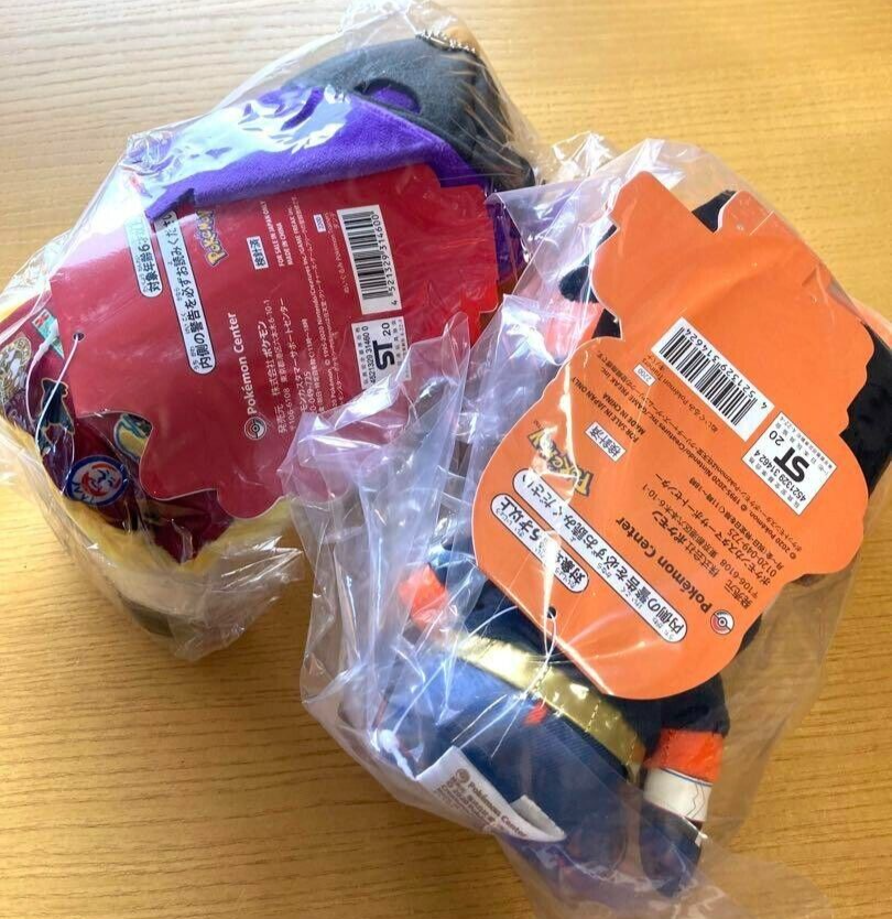 Pokemon Center Pokemon Trainers Leon Raihan Plush Doll Set of 2 | eBay