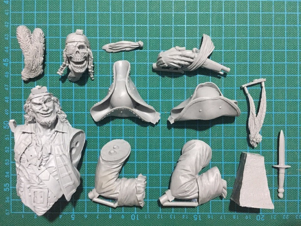 1/9 130mm Scale Resin Bust Building Kit Pirate With Skull Unassembled ...