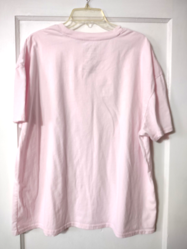 World Of Strawberry Shortcake By Isaac Morris Women's Tee Plus Size 2XL ...