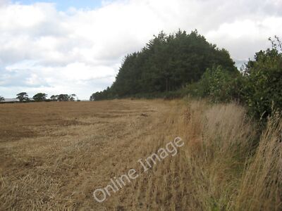 Photo 6x4 Field edge boundary at Howden Wood East Saltoun c2010 | eBay UK