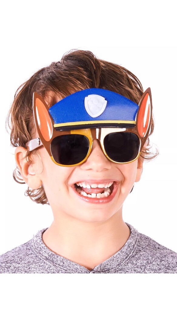 PAW PATROL SUN SHADES By Nickelodeon Pawsome Shades . Great Gift | eBay