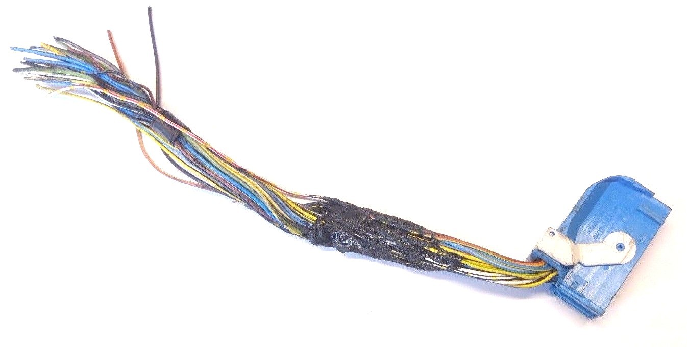 MINI Body Control Unit / BCU 54 Pin Blue Connector - R50 R52 R53 ...