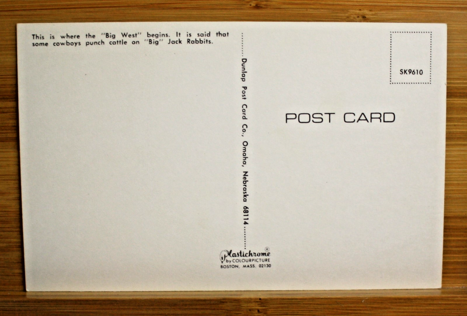 Postcard Howdy From Kansas Punching Cattle on a Jack Rabbit | eBay