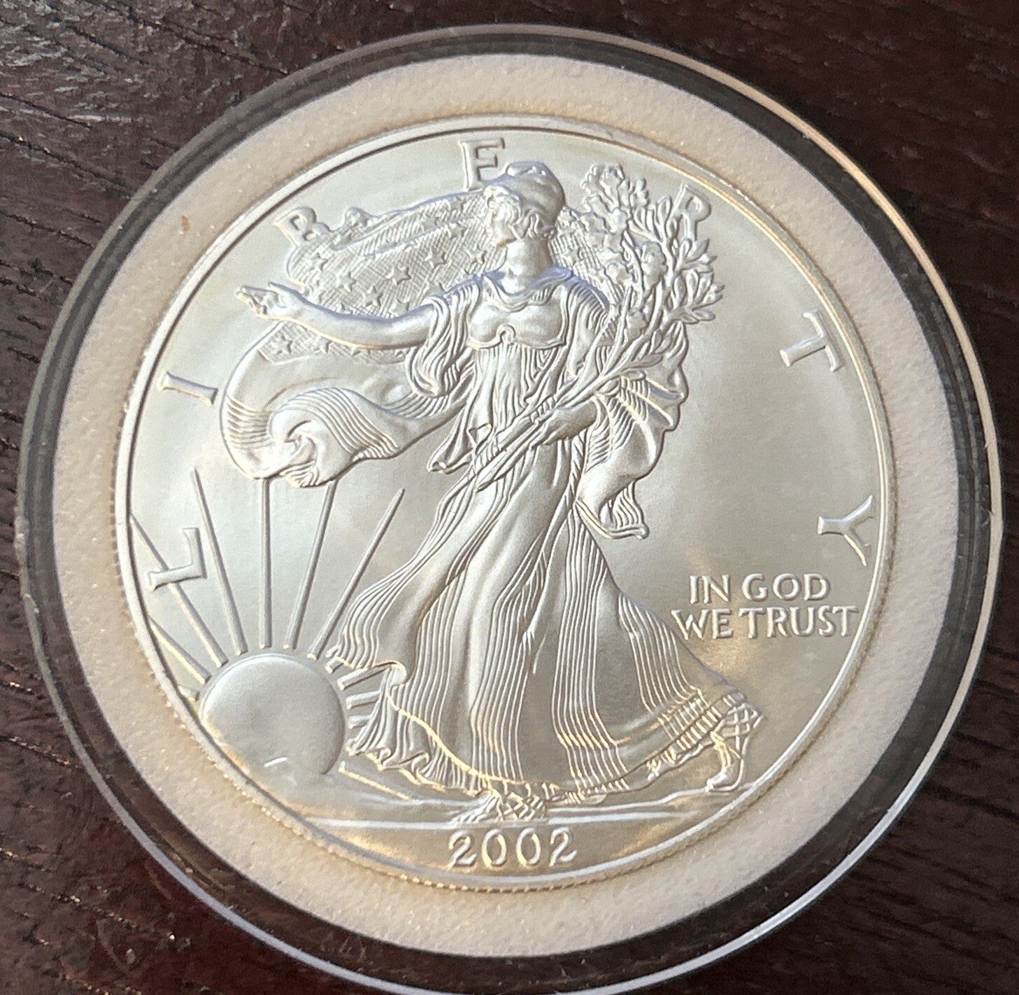 2002 American Silver Eagle Uncirculated $1 Free Shipping | eBay