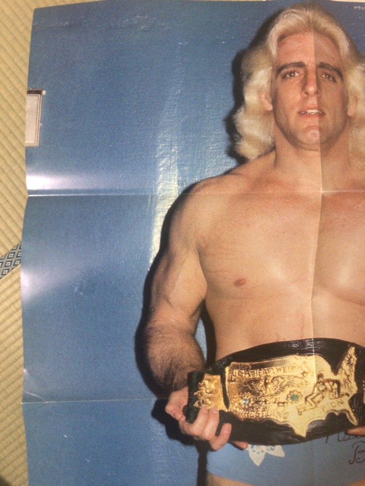 Ric Flair Poster 72 ️53cm DX Pro Wrestling Champion vintage BBM poster ...