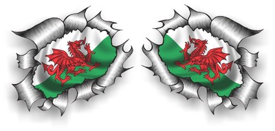 Small Pair STD RIP Ripped Torn Metal Welsh Dragon Wales CYMRU Flag car ...