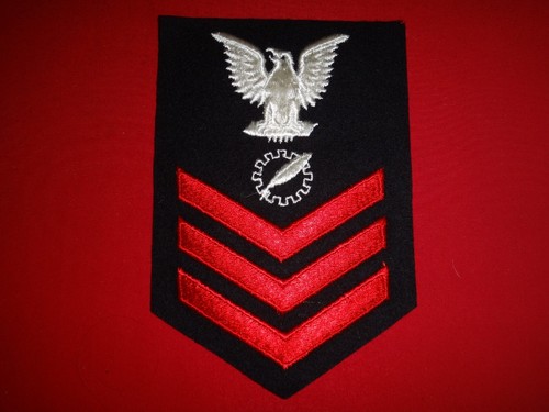 US Navy 1st Class Petty Officer PO1 DATA PROCESSING TECHNICIAN Large ...