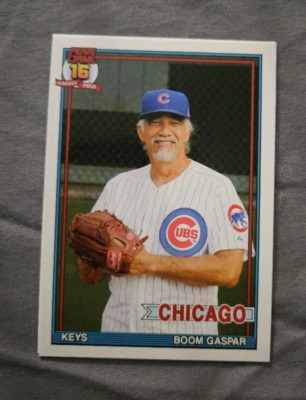 2016 Boom Gaspar Pearl Jam Chicago Wrigley Field Baseball Trading Cards ...