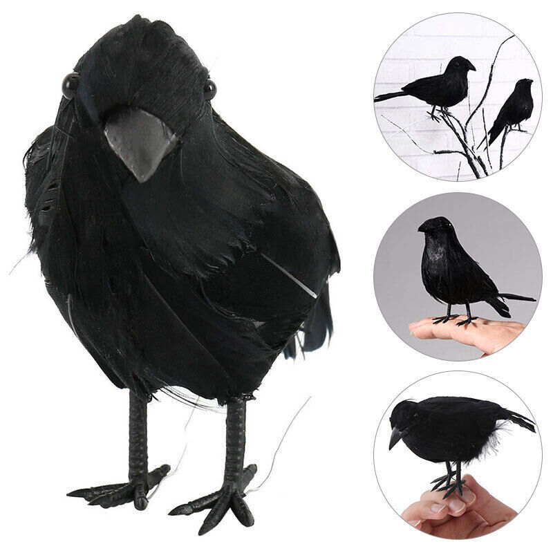 6Pcs Black Lifesize Raven Movie Prop Fake Crow Halloween Hunting Decor ...