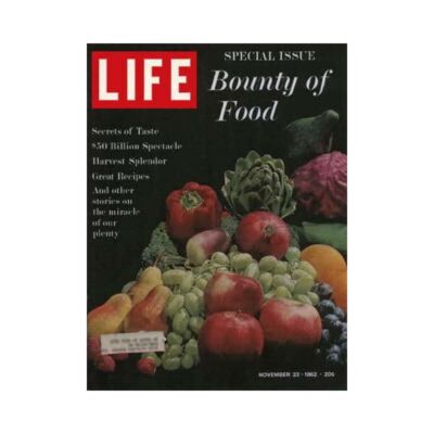 VTG Life Magazine November 23, 1962 Bounty of Food Special Issue | eBay