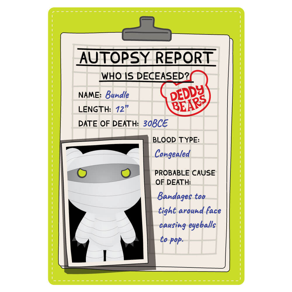 Deddy Bear Bundle 30cm Plush In Body Bag with Autopsy Report ...