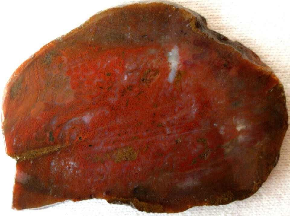 Red Jasper Slab - White Quartz - 140 Grams - Arizona | eBay