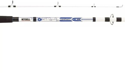 Mitchell Sea Fishing Mackerel Fishing Rod 10 ft Power 220g 1514681 ...